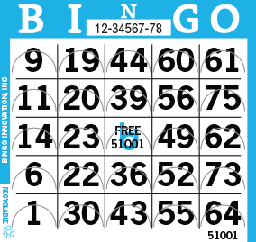 1on Pushout Bingo Paper by the Bundle 750 Sheets – Bingo Innovation
